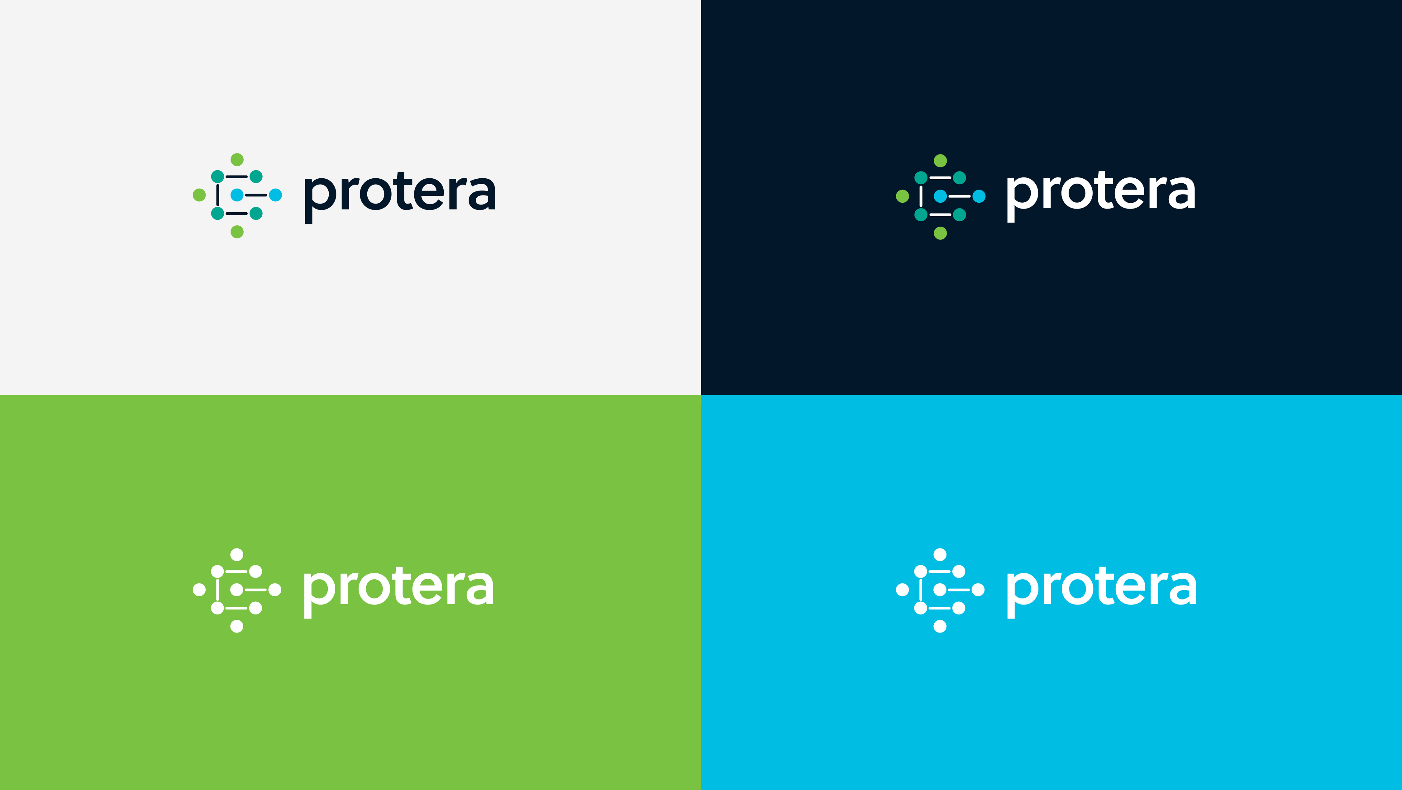 Case Study - Protera